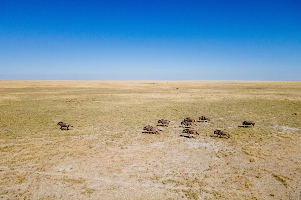 Sustainability – Botash