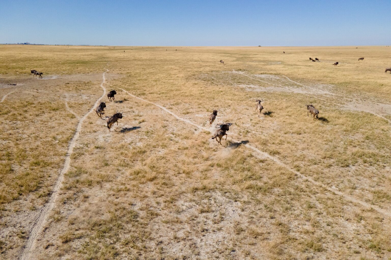 Sustainability – Botash