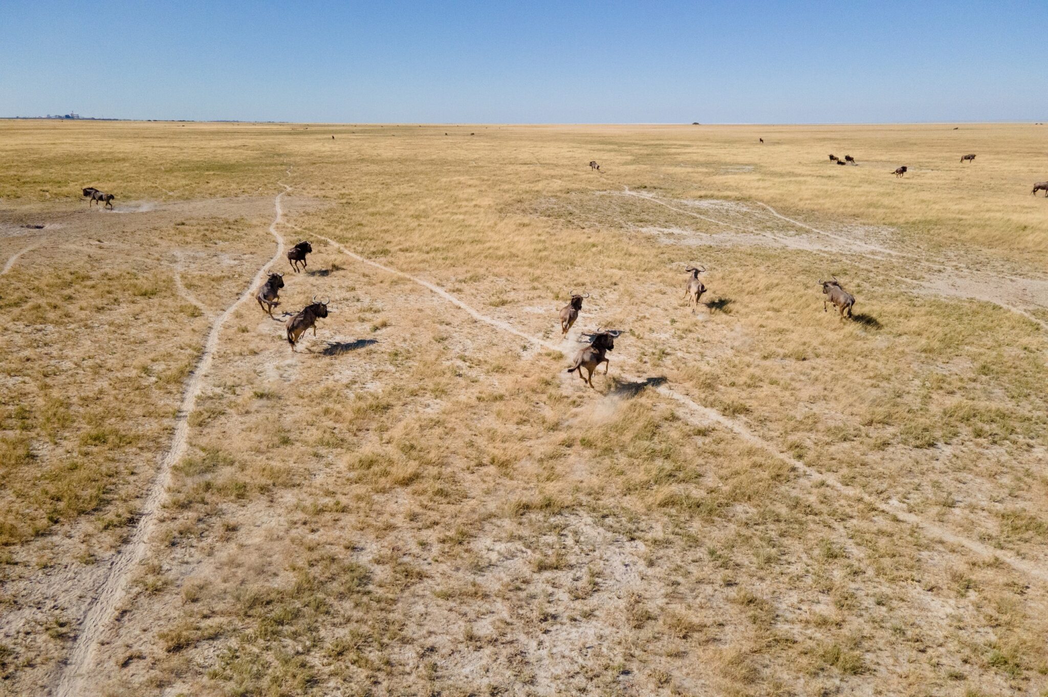 Sustainability – Botash